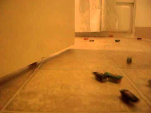 hexbug nano swarm 5 - YouTube
