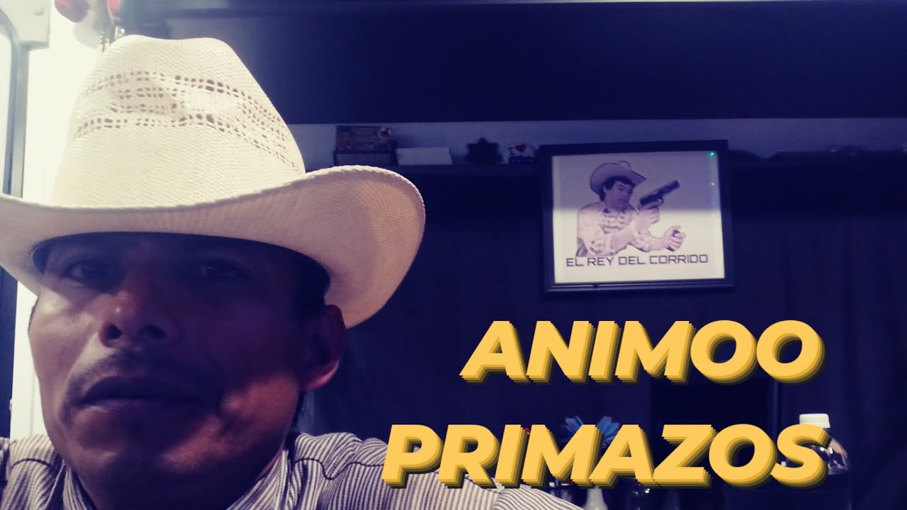 QUE ROYO PRIMAZOS COMO ANDAMOS PRIMAZOSS ANIMOOO - YouTube