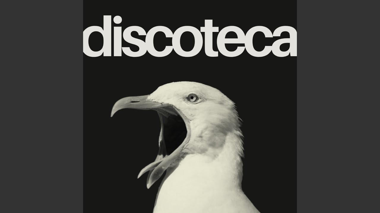 Discoteca - NikKhav: Song Lyrics, Music Videos & Concerts