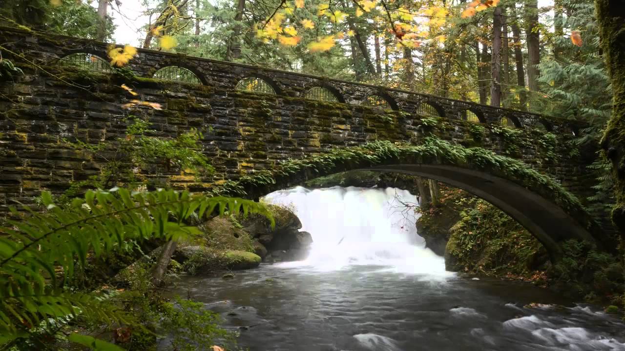 Whatcom Falls bridge time-lapse video - YouTube