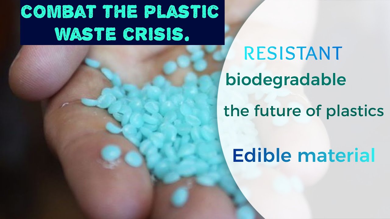 Israeli Scientists Develop Biodegradable, Edible Plastic to Combat ...