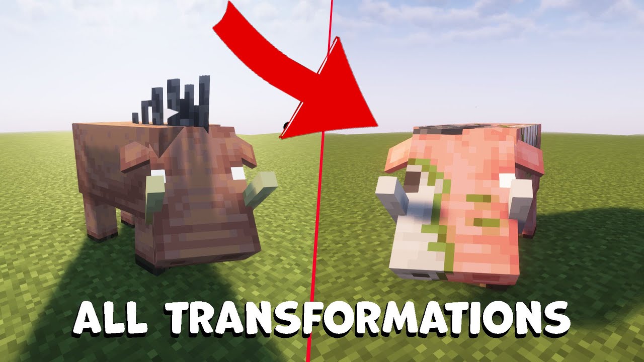 transformations in minecraft 1.16.5 all that exist - YouTube