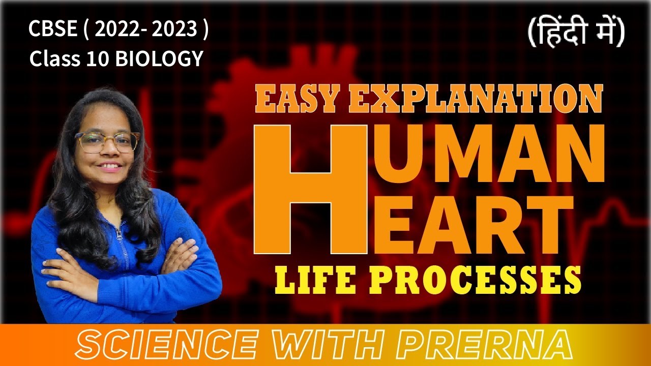 Human Heart | Easy explanation in just 10 minutes | Life processes ...