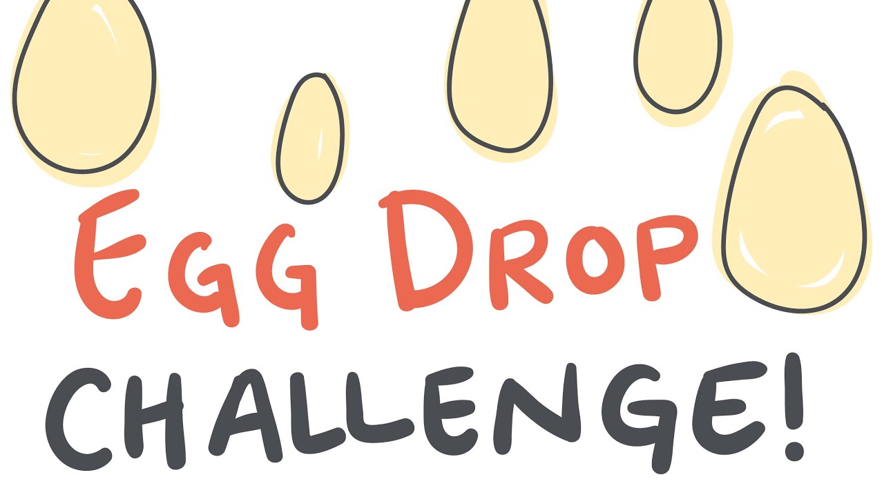 Egg drop challenge first year engineering - daxmasters