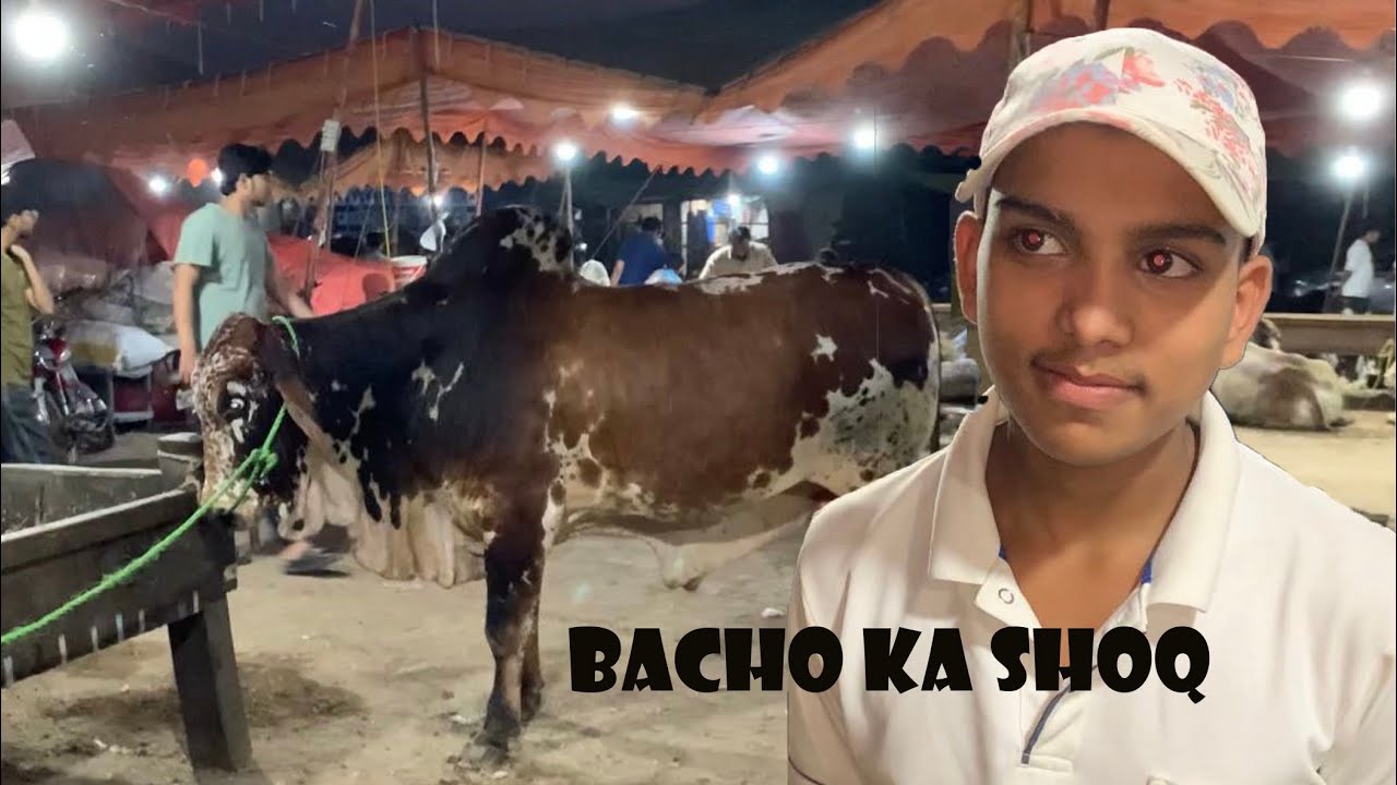 Bacho ka shoq - YouTube