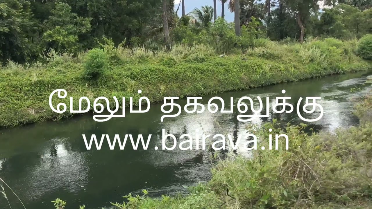 8 Acre land for sale in Seethapal,Thovalai Channel Road,Nagercoil ...