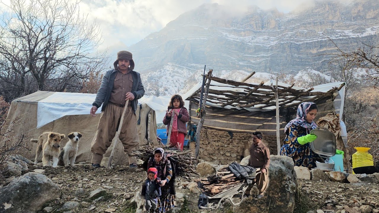 🔥🌲 Hard days of nomads: collecting firewood and fighting the cold ️🥶The ...