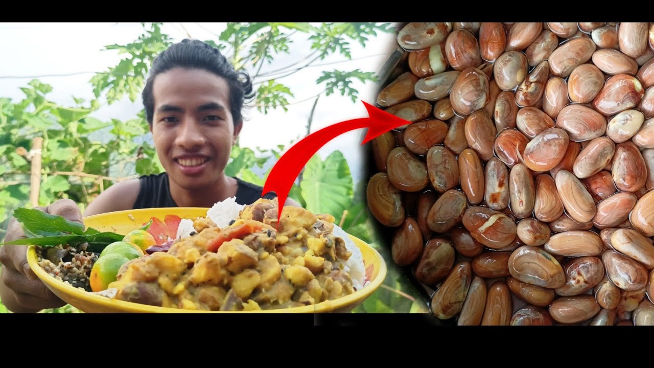 How to cook Jackfruit seed recipe ! - YouTube