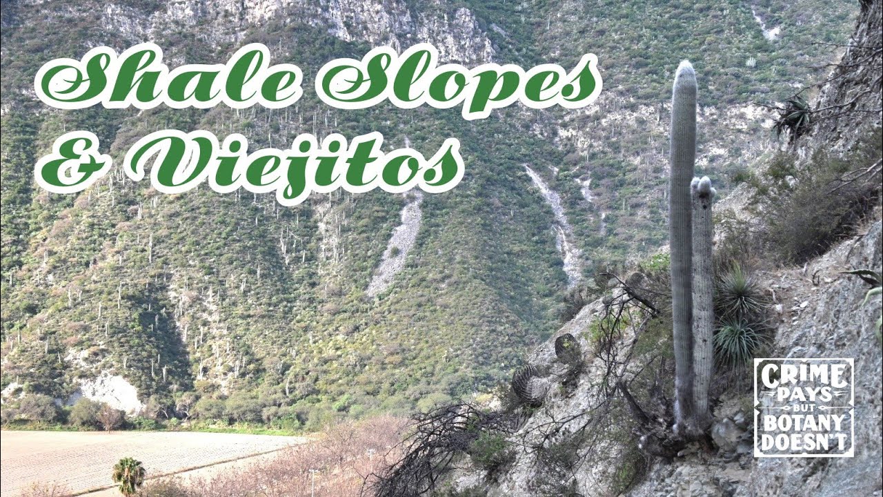 Shale Slopes & Viejitos - YouTube