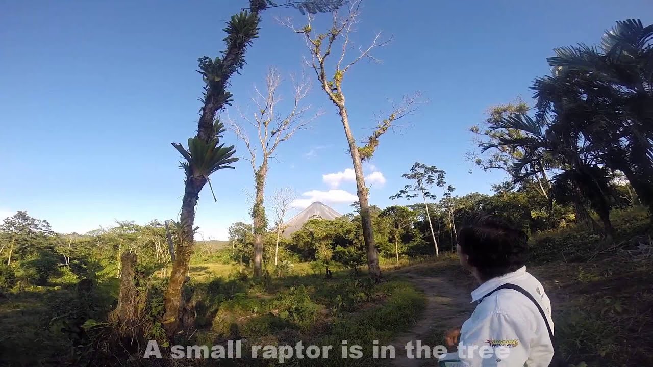 The Volcano Nature Walk - Mount Arenal, Costa Rica - YouTube