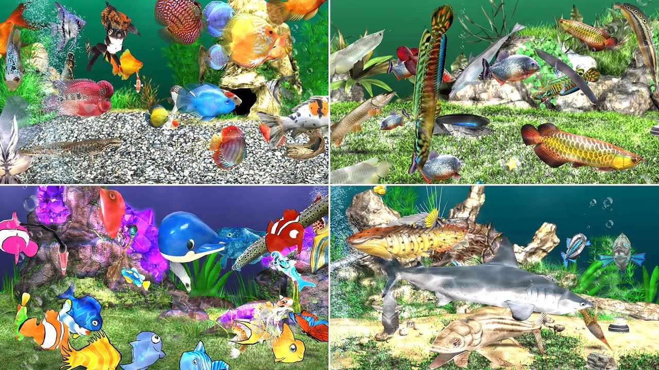 AQUALIFE 3D | ALL SPECIAL FISH, GRAND PRIZE FISH, PREDATOR FISH, PET ...