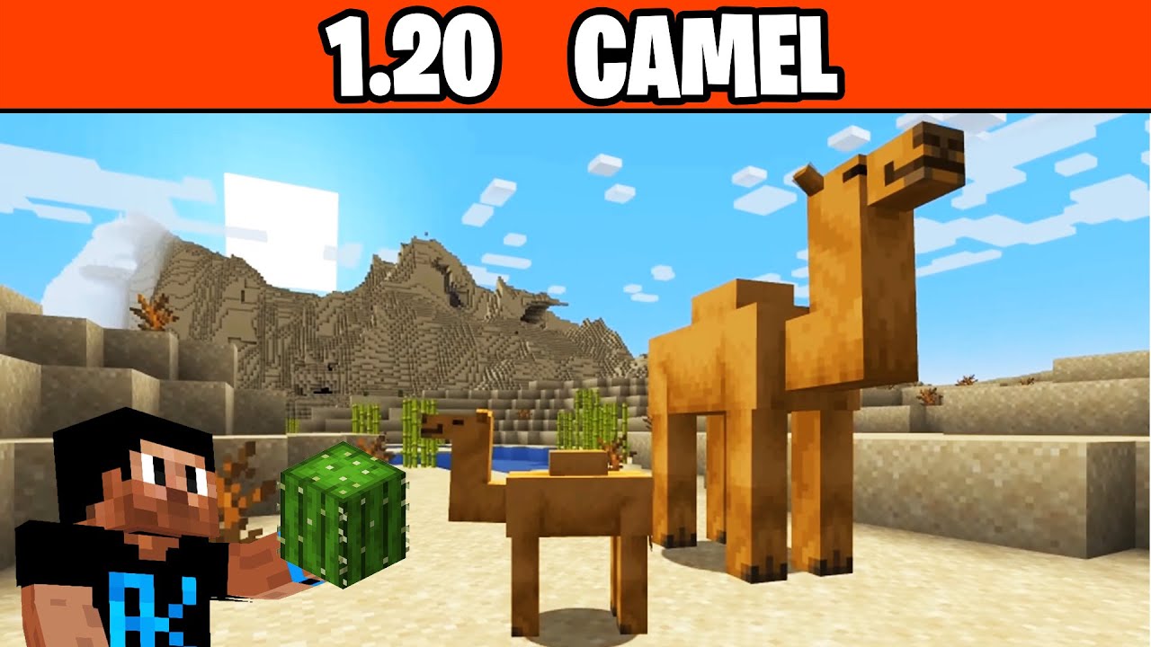 MINECRAFT 1.20 Camel "New Mob" - YouTube