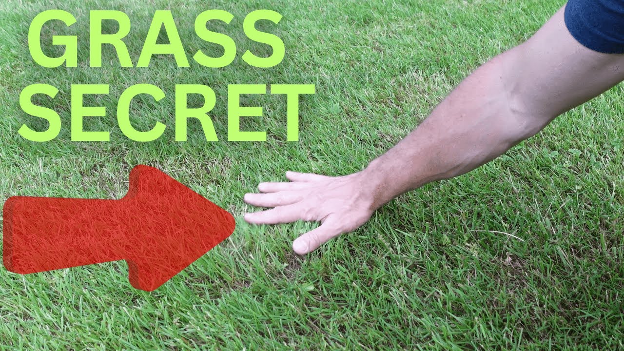 How To Grow Grass In Large Areas With An Erosion Control Blanket YouTube
