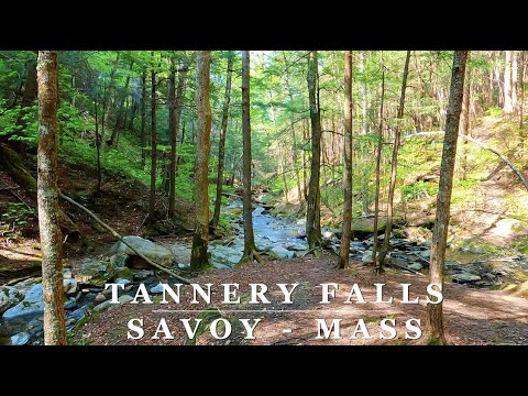 [4K] Hidden Gem: Tannery Falls - Savoy, MA - 4K Relaxing Scenic Forest ...