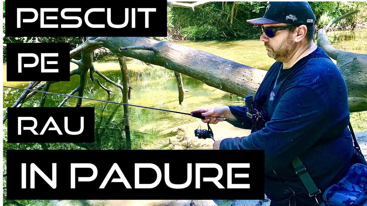 Pescuit la spinning pe rau in padure. Spinning la clean - YouTube