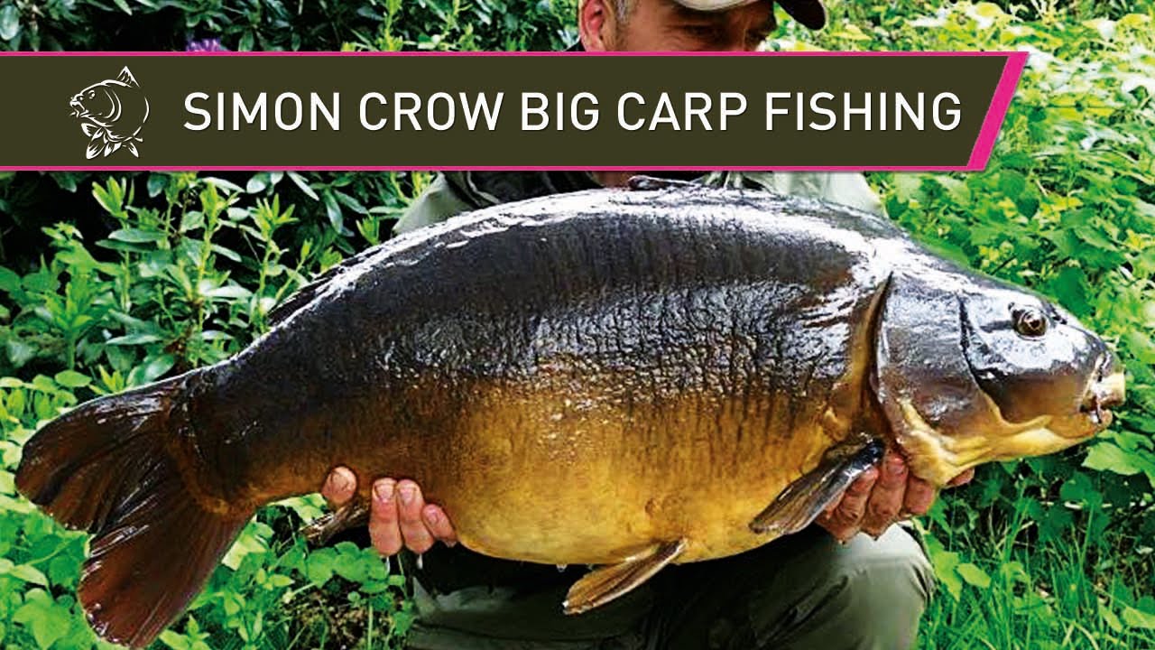 Carp Fishing with Simon Crow at Weston Park - YouTube
