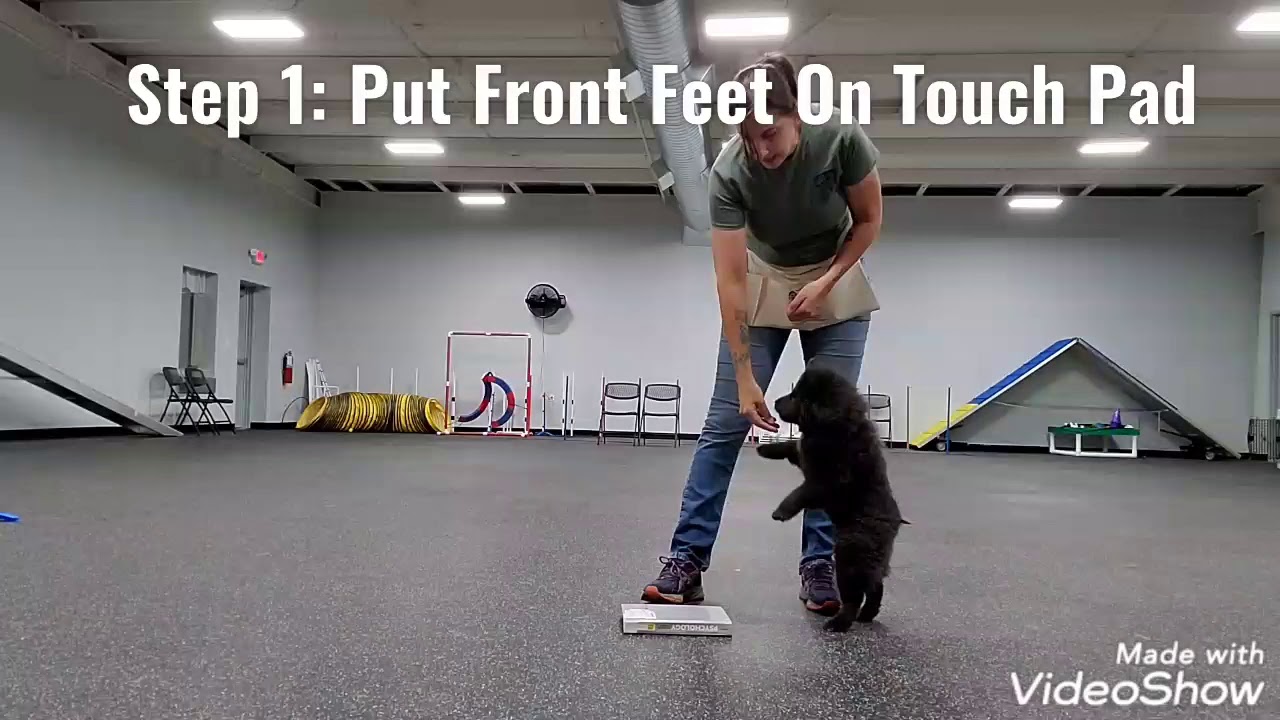Turns In Heel: Pivots Part 1 - YouTube