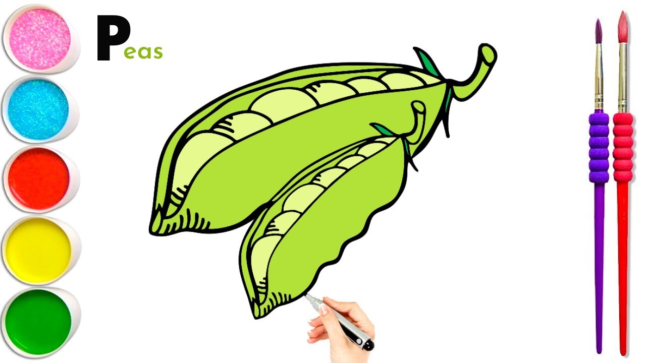 How to Draw Peas | Vegetable Drawing for Kids | Step by Step Easy ...