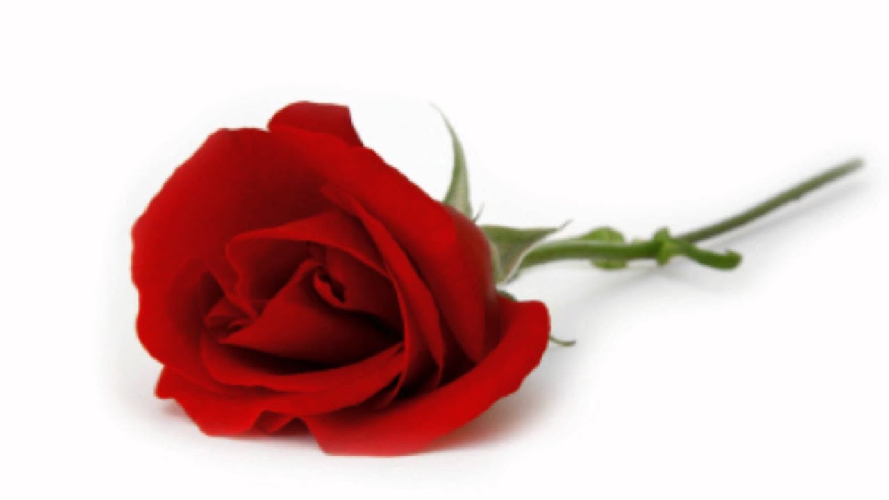 sam hook - can't lie ( BEAUTIFUL SONG ! ) - YouTube Music