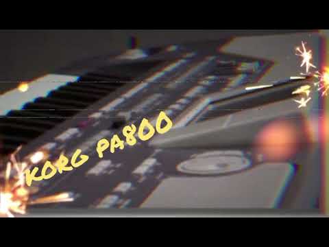 كورج.... Korg pa800