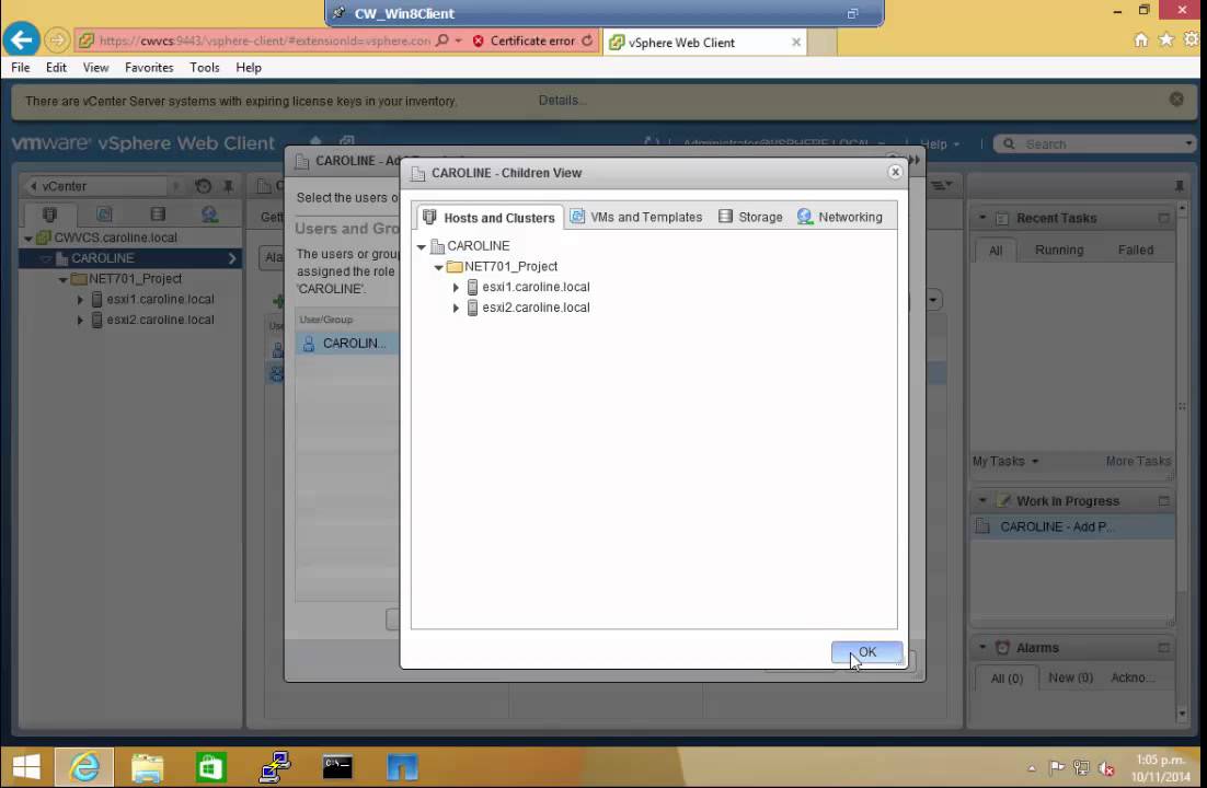 VMware vCenter Single Sign-On - Domain Admins Group - YouTube