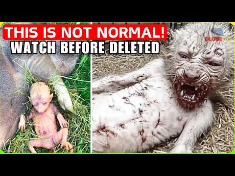 He Was Walking Through His Corn Field… Then He Saw SOMETHING TERRIFYING