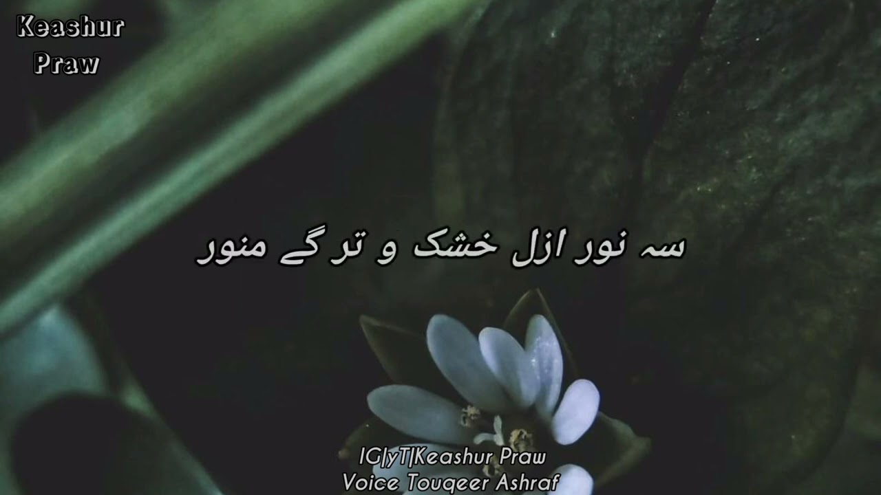 RasooL e Khuda Be Misaal Allah Allah |Kashmiri Poetry Status |Kashmiri ...
