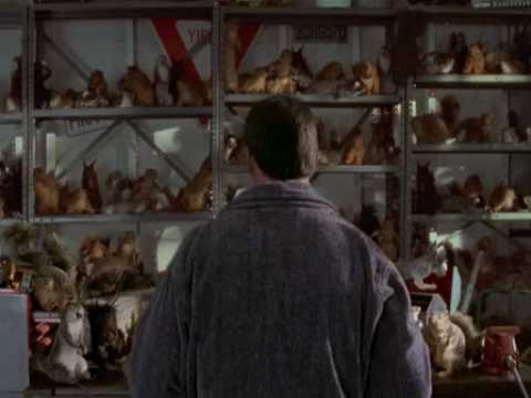 Scrubs 4x04 squirrel army