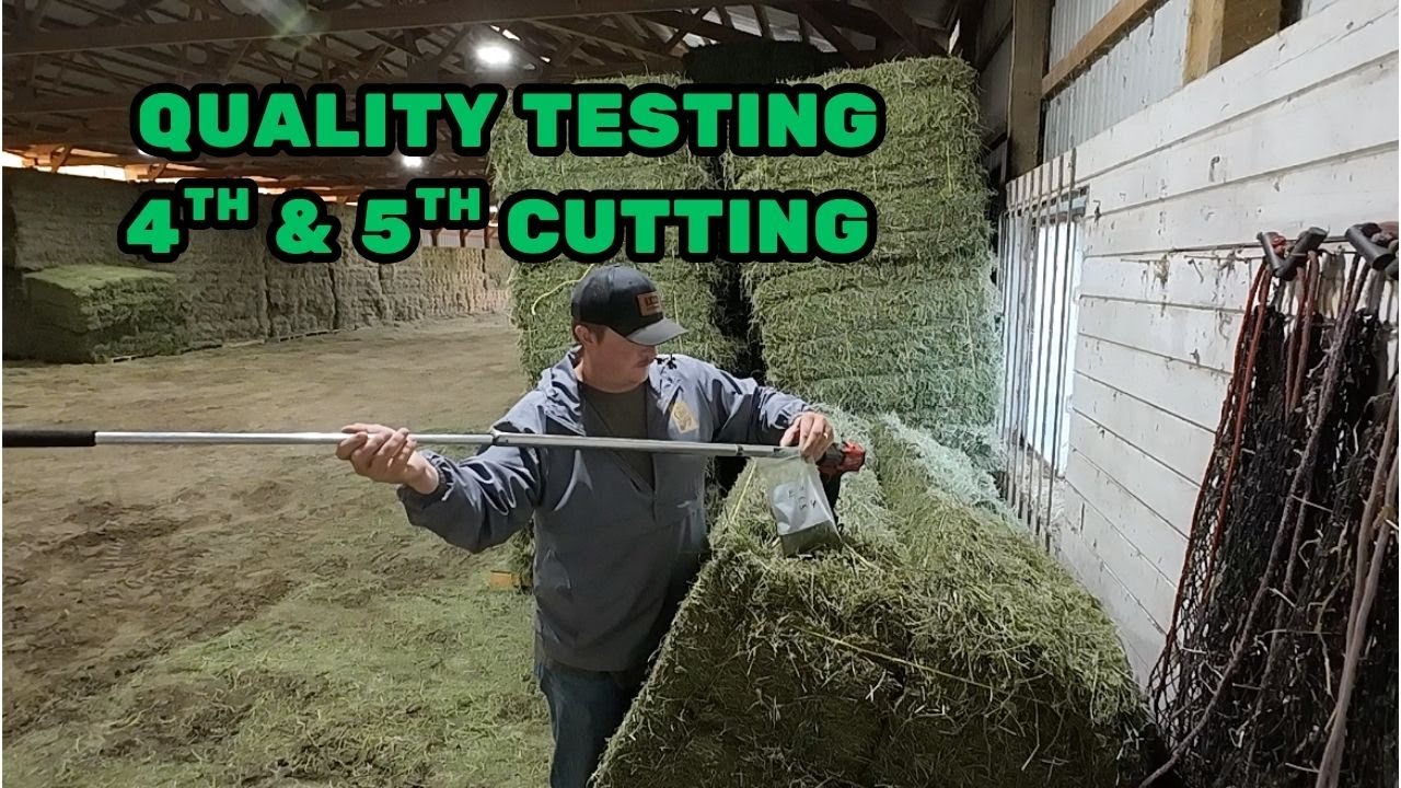 How I Sample & Test Alfalfa Hay + Hay Equipment Overview - YouTube