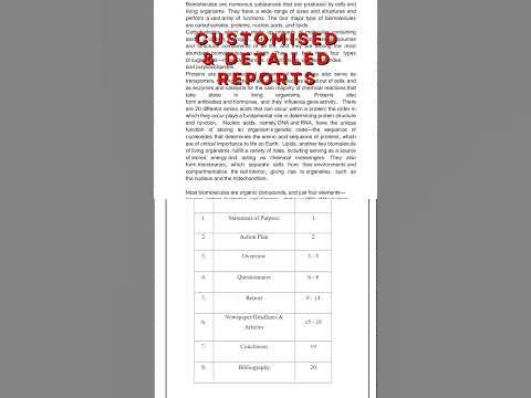 Customized Project Reports - YouTube