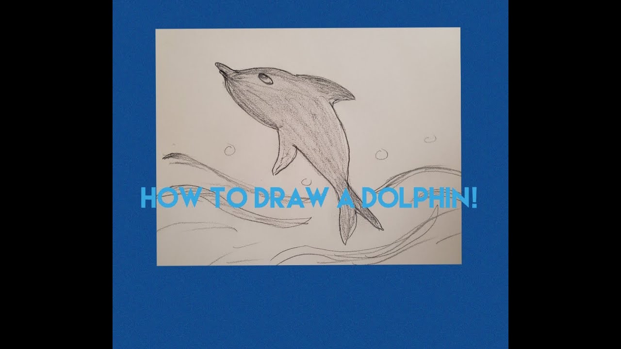 How to draw a dolphin tutorial-Art for kids - YouTube