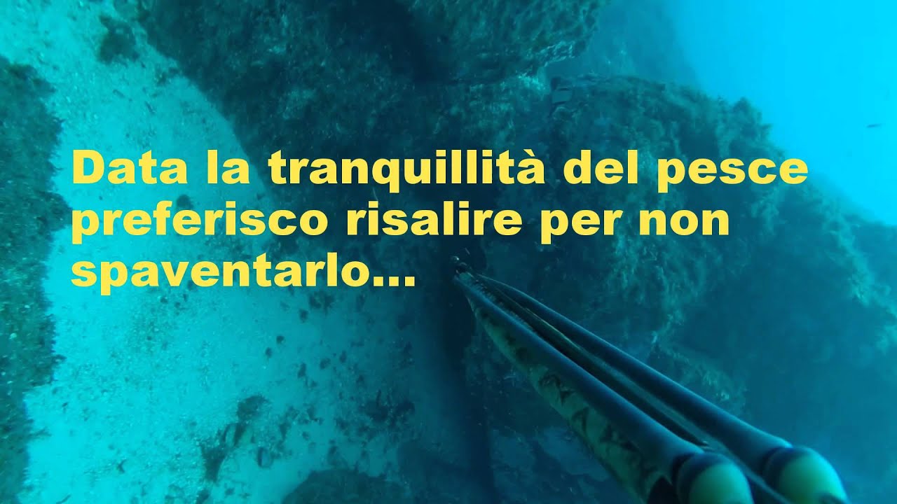Cernia invernale! - YouTube