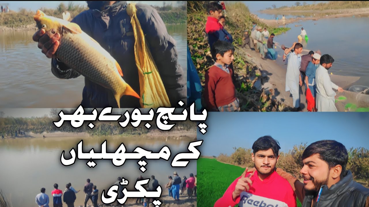 5 tora fish ka pkra full br ka🐳🐳🐙🐡🐠🐟🐬🐋(jameel pendu)#fishing#big fish# ...