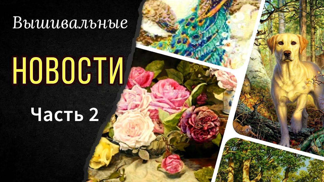 Новые СТАРТЫ//Смолта//Надима//Лукас//Финиши//Обо всем понемногу - YouTube