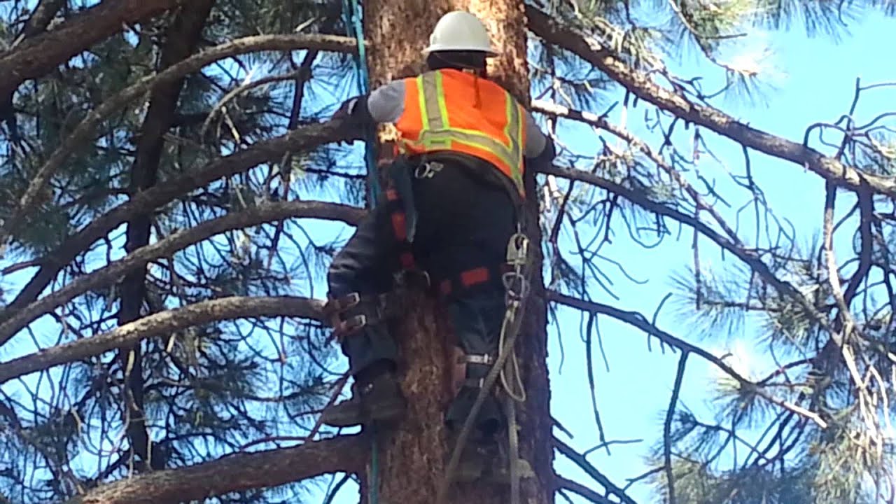 Aerial rescue training - YouTube