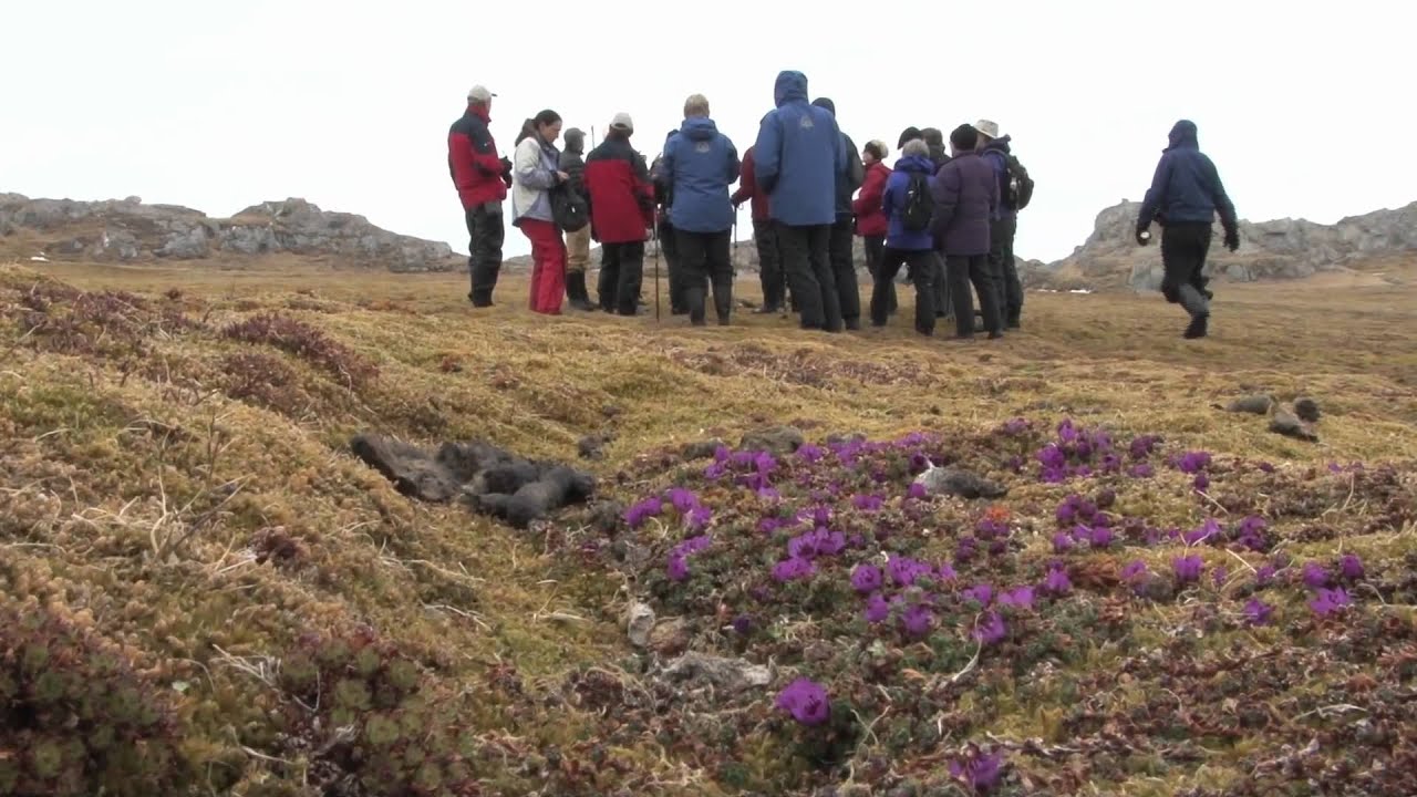 Spring Arrives in the Arctic, Take a Hike on the Tundra - YouTube