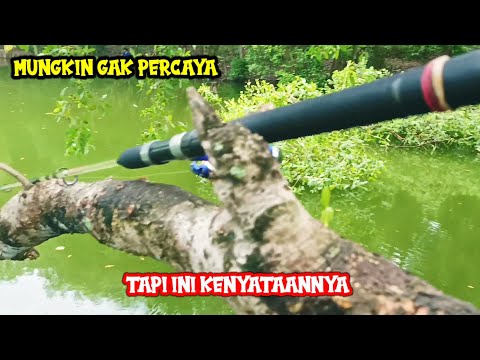 EXTRIM‼️Pertama di indonesia Mancing modal nekatt beginilah jadinya...kang!