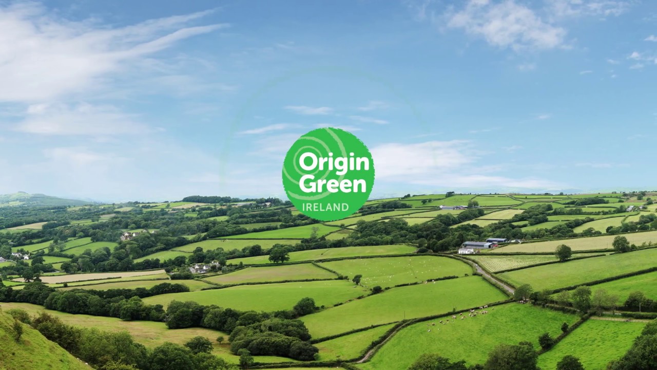 Origin Green Membership Process - YouTube
