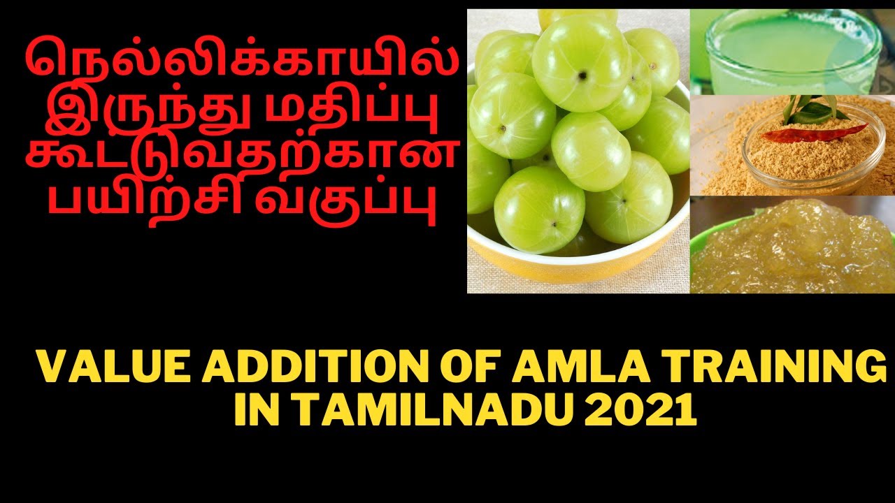 Amla Value Added Training in Tamilnadu || Tamil Velanmai - YouTube