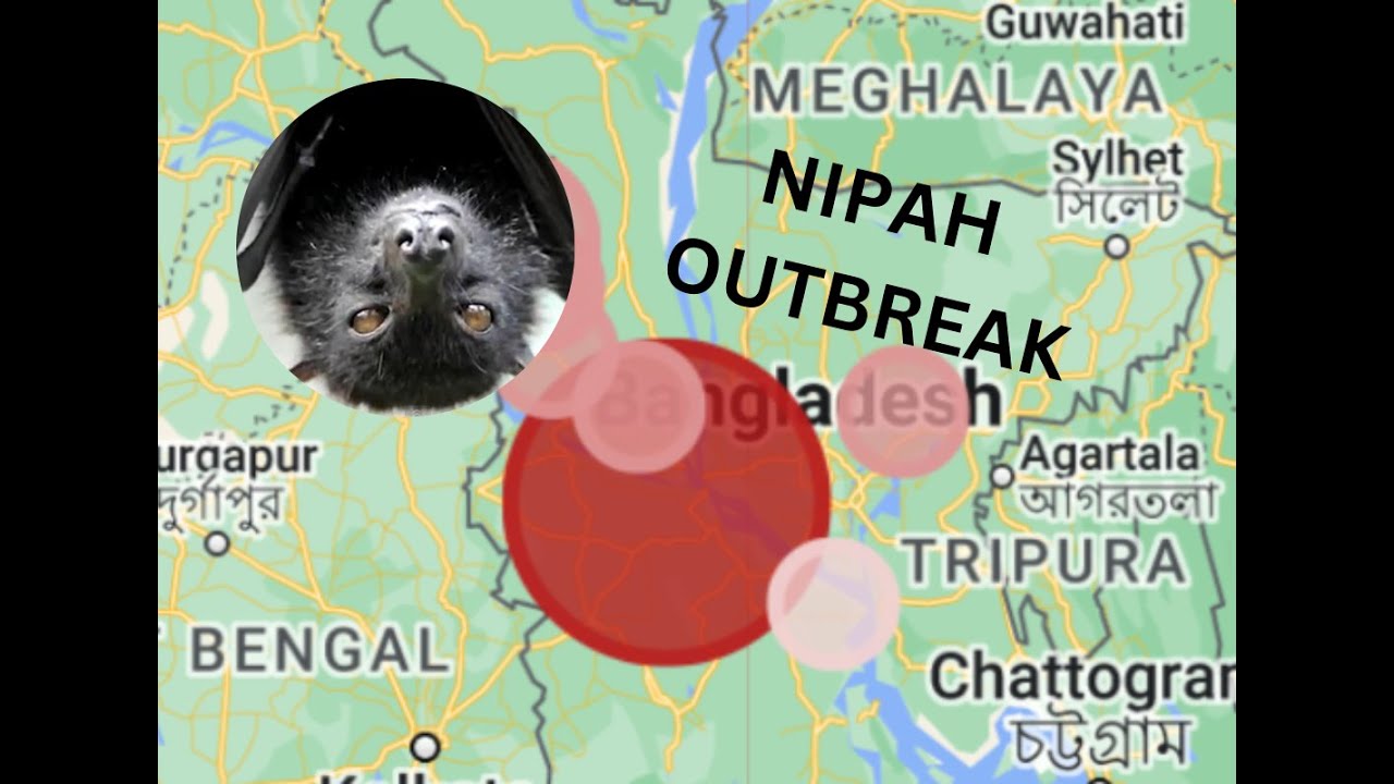 Nipah virus outbreak in Bangladesh 2023 - YouTube