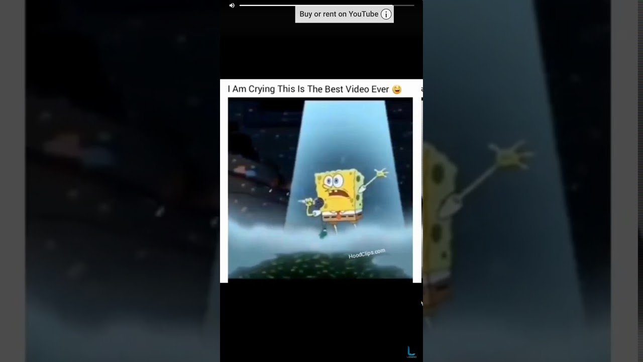 Spongebob Meme Song Xdddddddd Youtube
