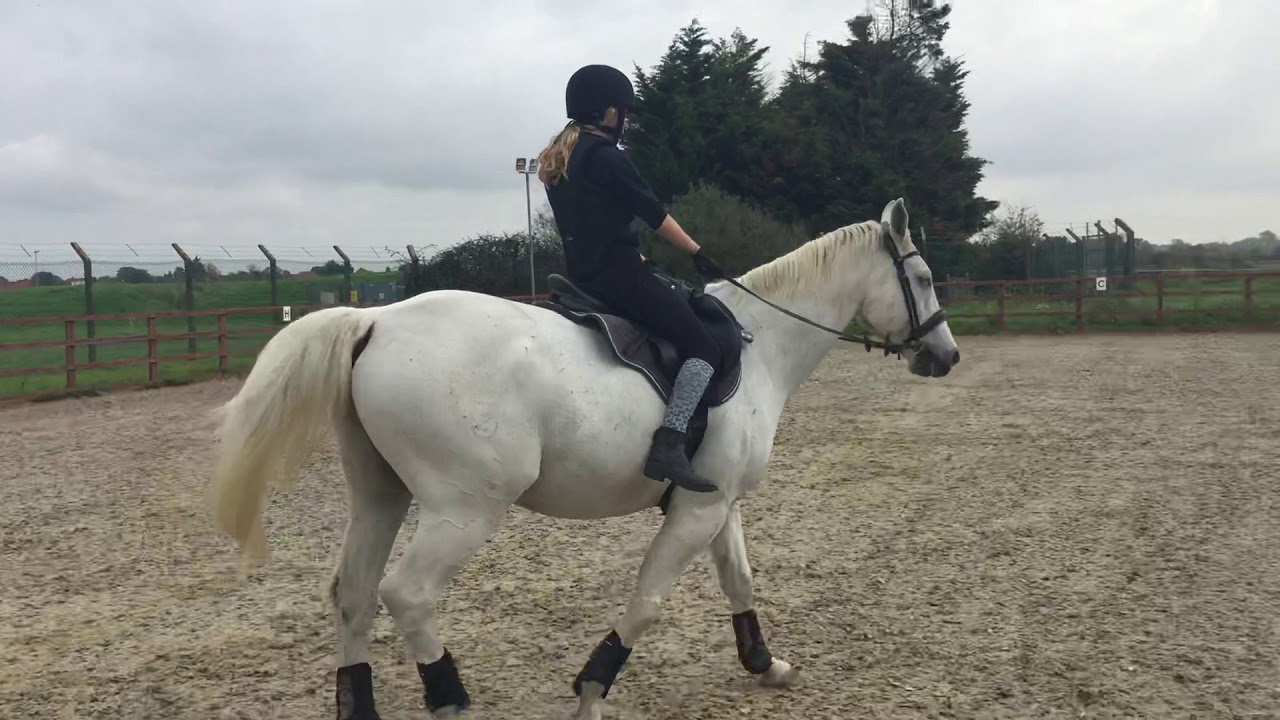 Riding videos for Hartpury college - YouTube
