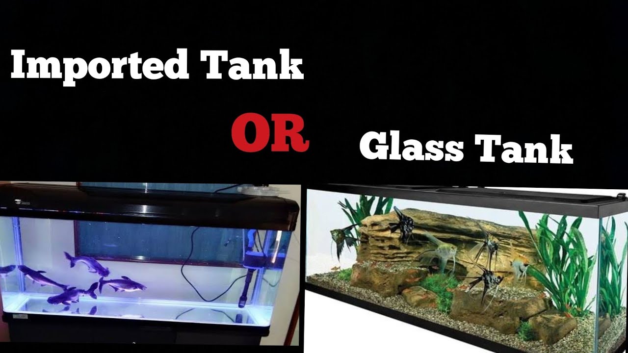 Imported Tank or Glass Tank which is best - YouTube