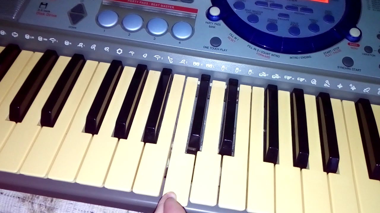 ZUTA KUCICA - MIMA&DORA&PLES SA NOTAMA💛🎶 - YouTube