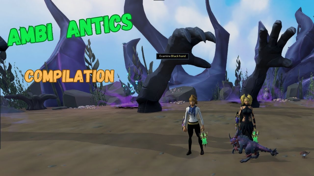 Ambi Antics RS3 Plus Ambassador pet - YouTube