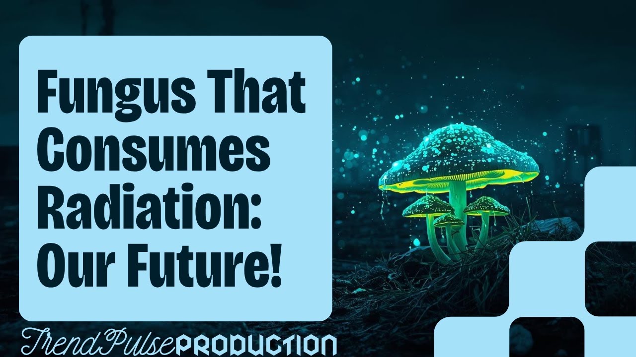 This Fungus Eats Radiation—And Could Save Us on Earth and in Space ...