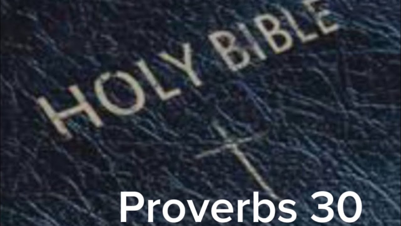 Proverbs 30 (NIV) The Audio Bible - YouTube