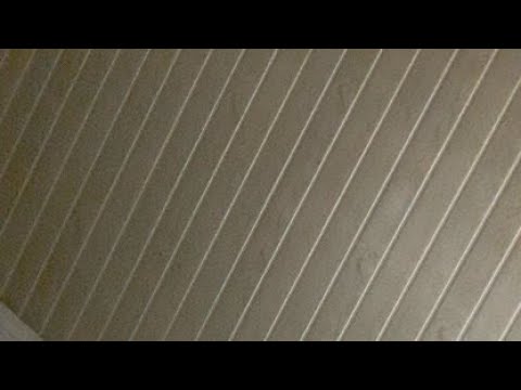 Insanların 2 yüzlülüğü