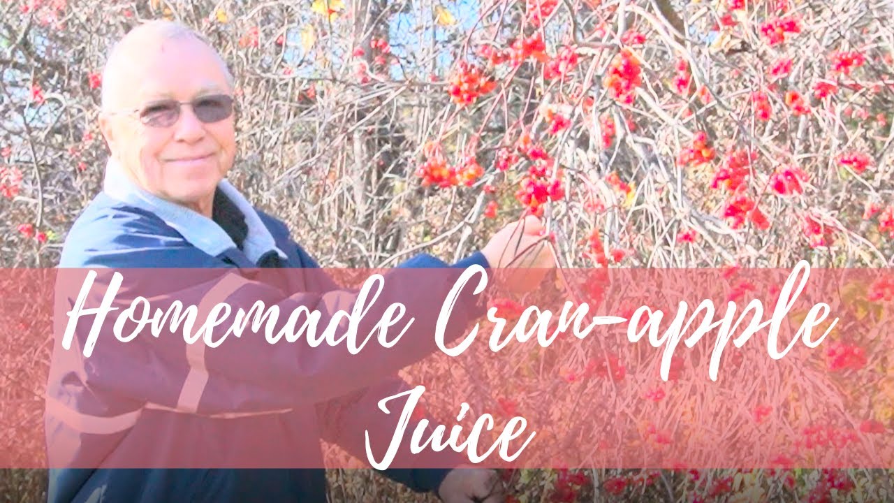 Making Homemade Cran~Apple Juice - YouTube