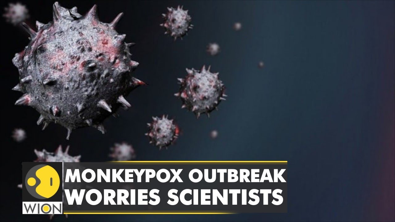 Monkeypox outbreak worries scientists: Experts suspect 'animal spill ...